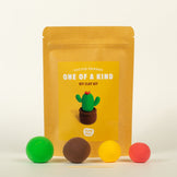 Cactus Friends Bundle – Claymoo